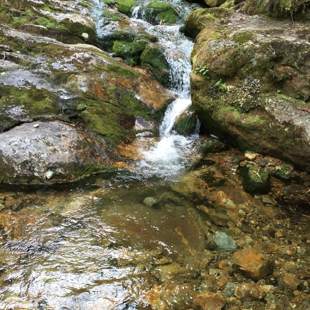 Middle & South Carter Hike – New England Classic Beauty